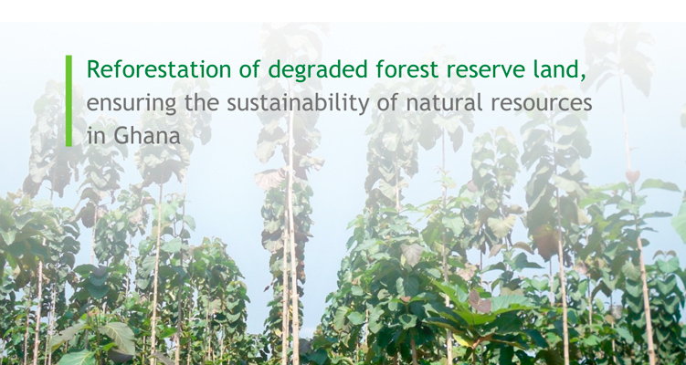 Reforestation project: Ghana's Reforestation of Degraded Forest